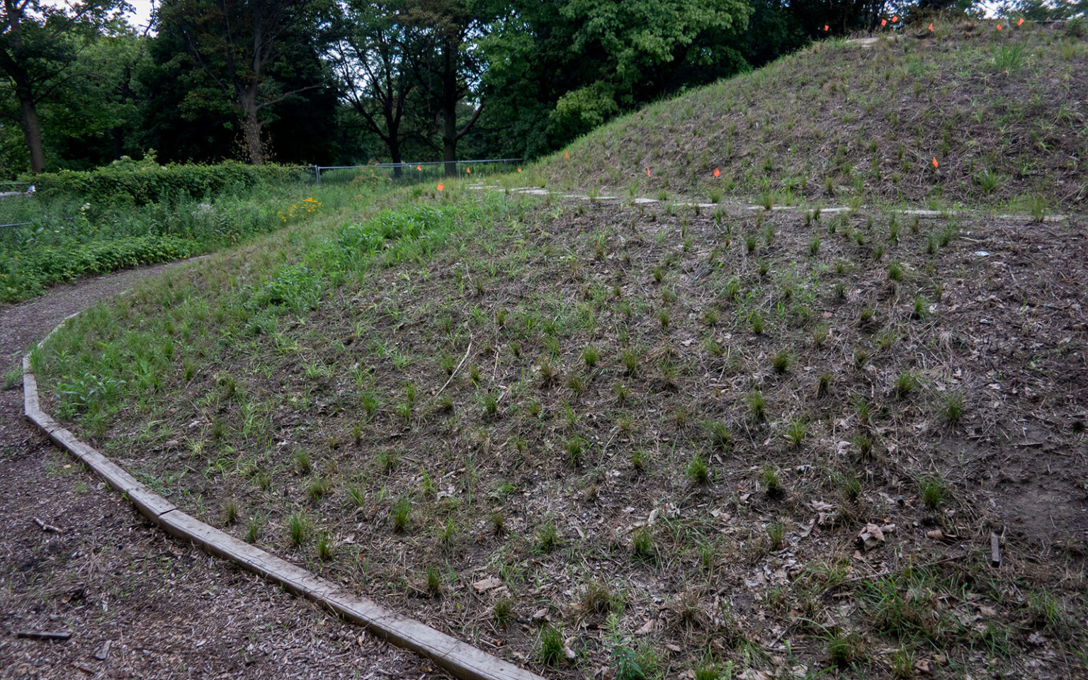 Photos: Abandoned Coiled Serpent Mound (Land Art) III | David Bernie