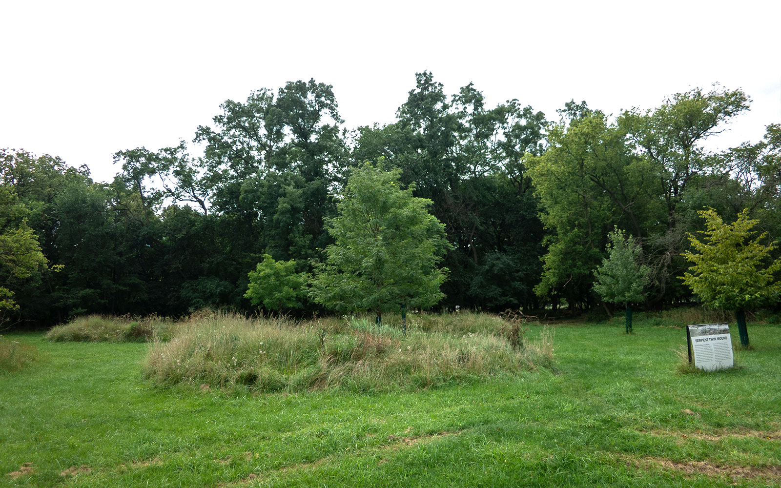 Photos: Abandoned Serpent Twin Mounds II | David Bernie