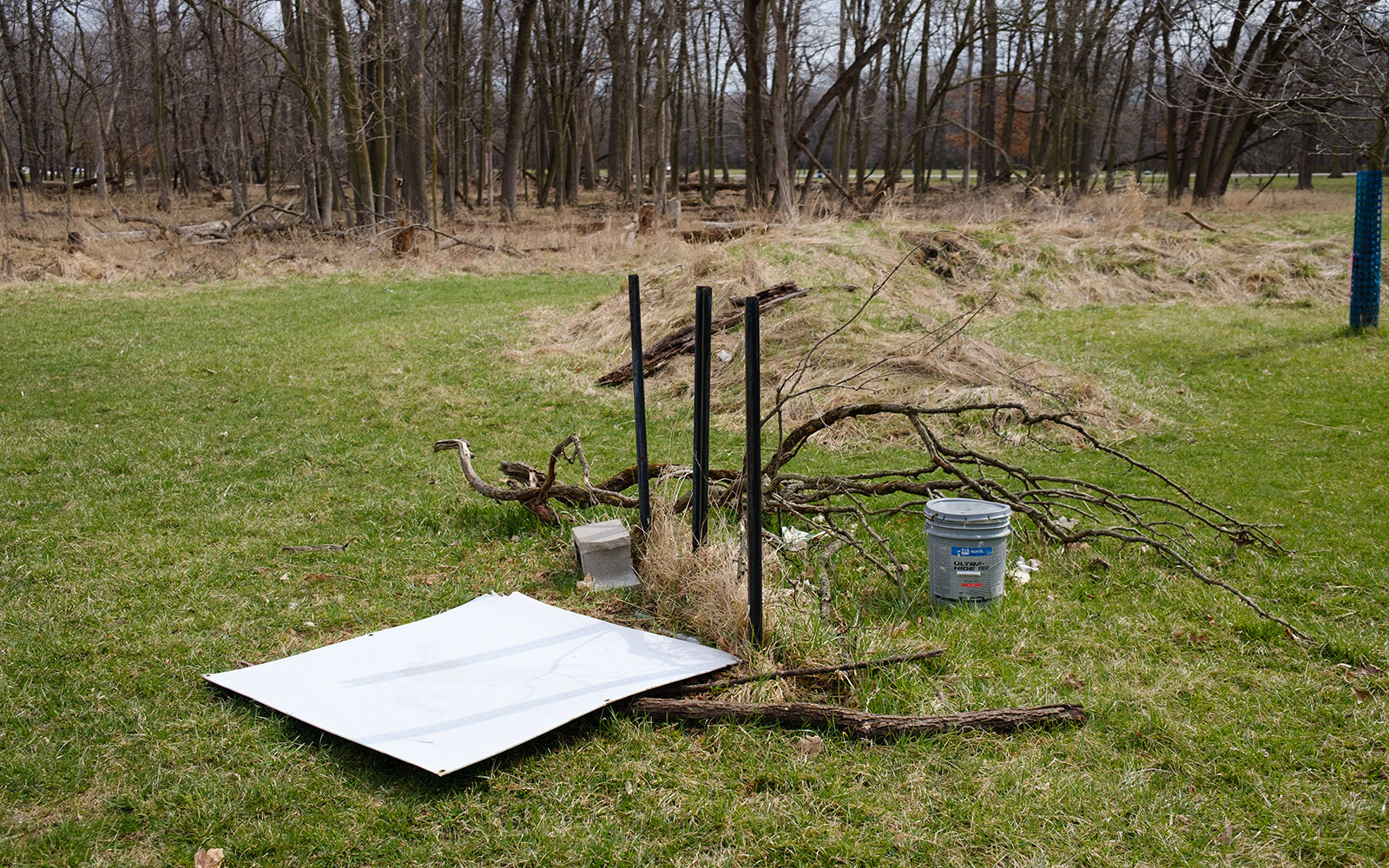 Photos: Abandoned Serpent Twin Mounds IV | David Bernie